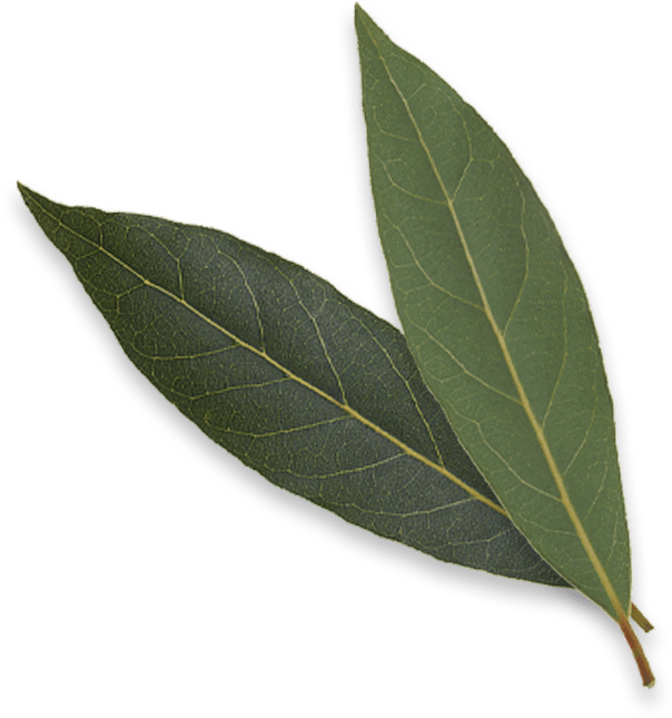 Dutch Dumplin – True flavor bombs, even without sauce.