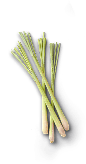 Dutch Dumplin – True flavor bombs, even without sauce.