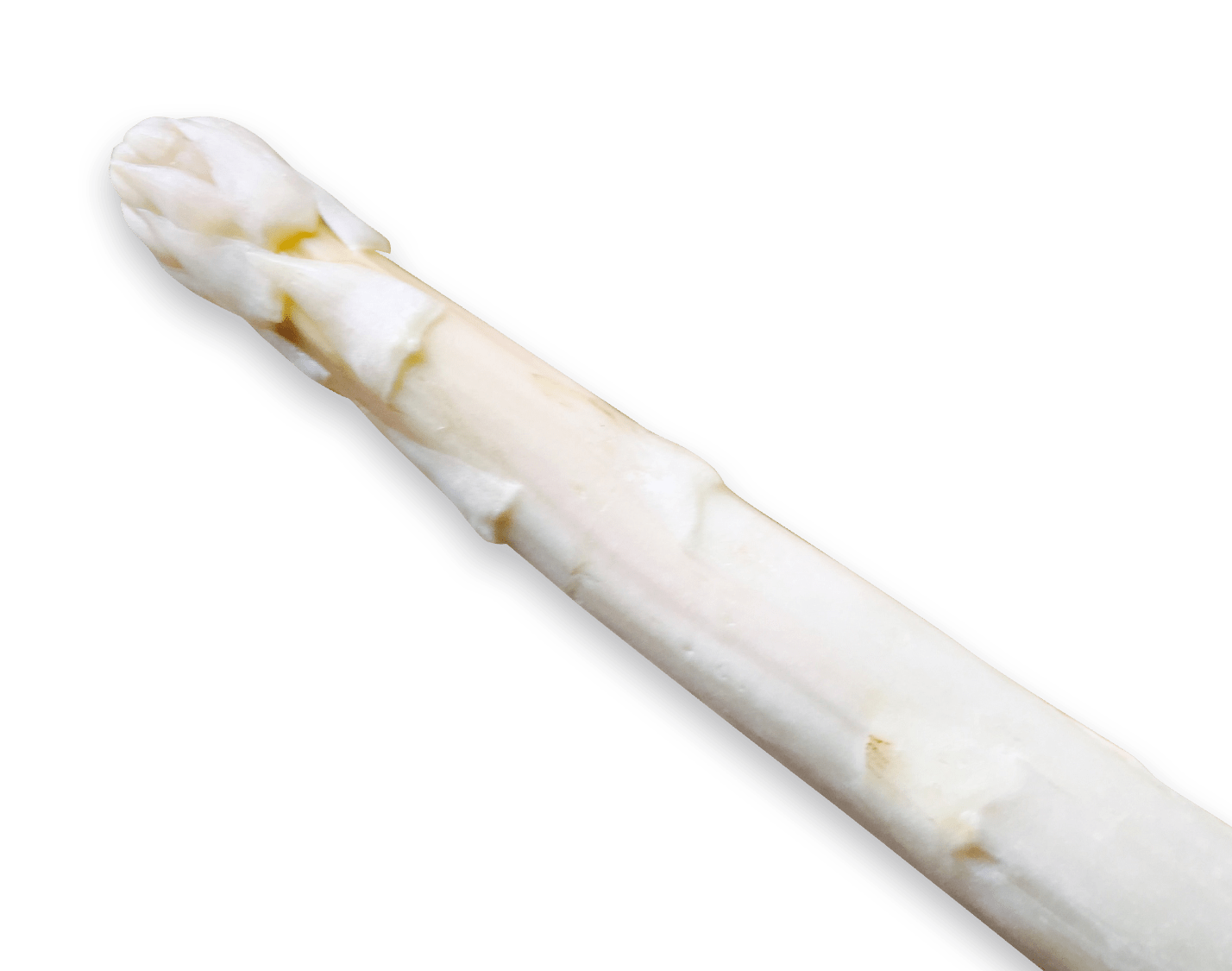 Dutch Dumplin – True flavor bombs, even without sauce.